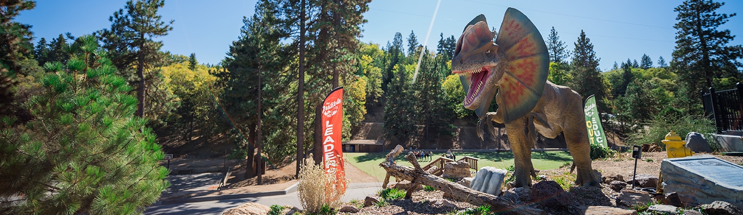 Forms & Resources - Pali Retreat