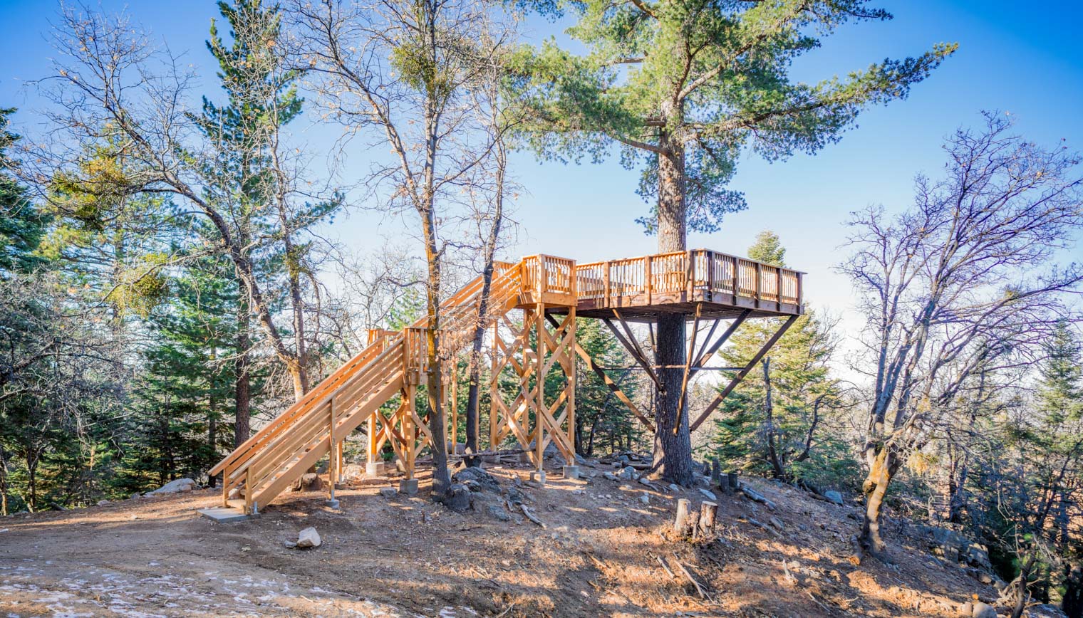 The Treehouse - Pali Retreat